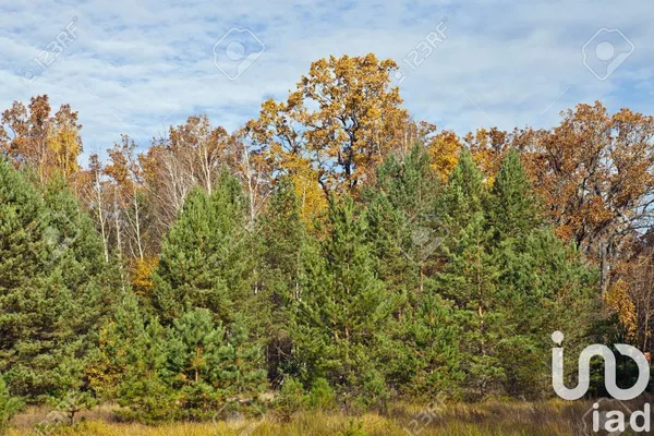 Immobilier à Salles (33770) : 68 annonces immobilières - iad