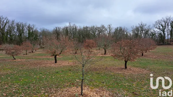 1 terrain à vendre à Caylus (82160) - iad