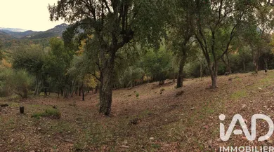 Vente terrain à Les Adrets-de-l'Estérel (83600) : terrain à bâtir 1000 ...