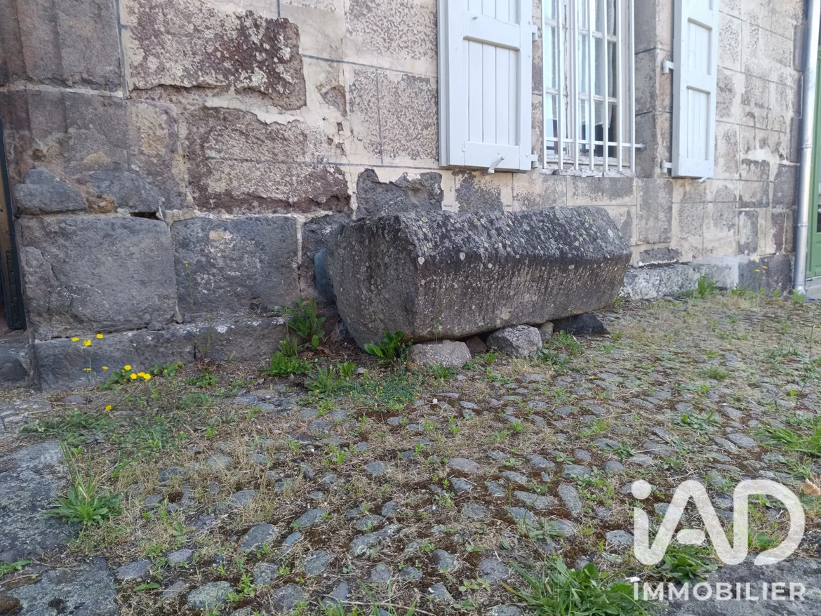 Vente maison à Tournemire (15310) : maison 5 pièces 100 m² - 2052335 - iad